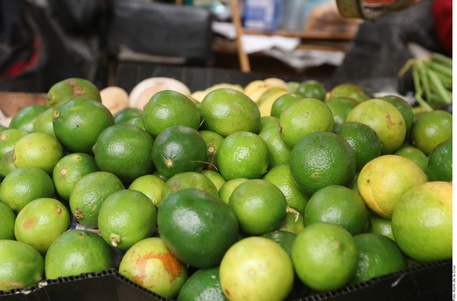 ¿Collar de limones para curar a tu perrito con tos?
