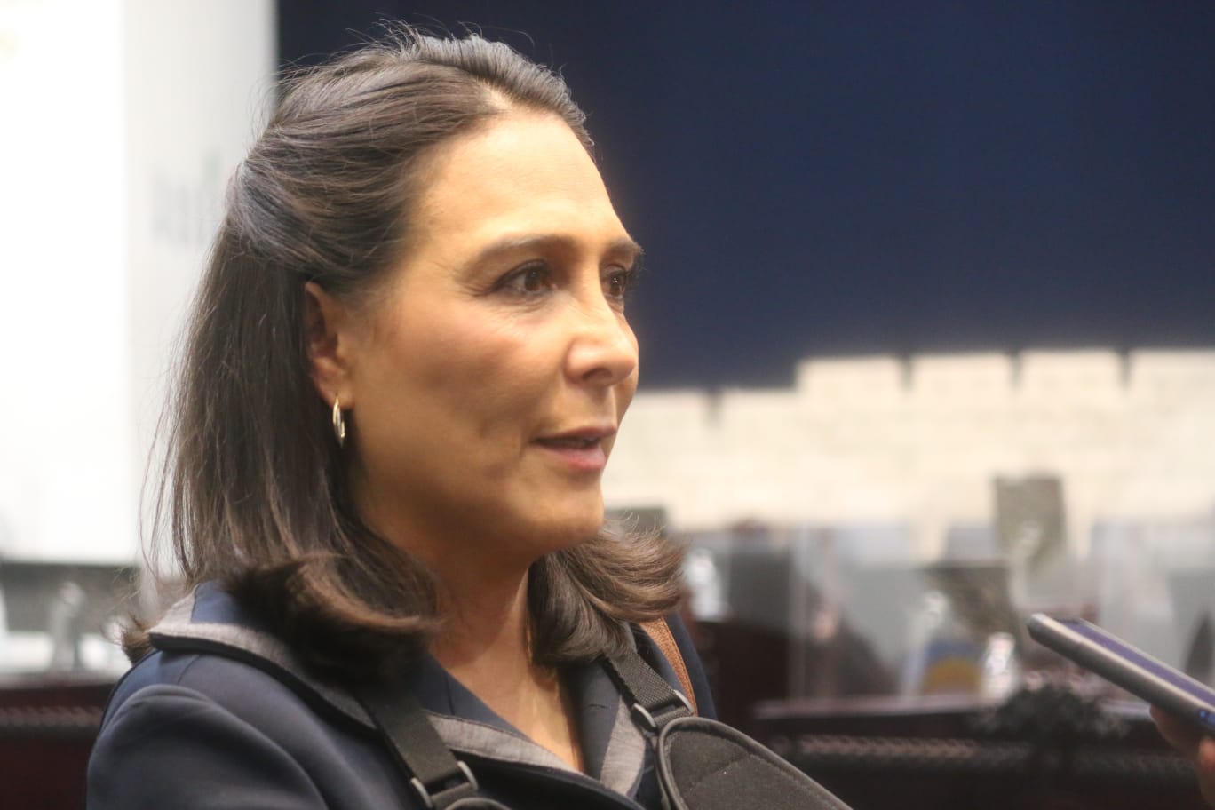 Reunión entre Fayad y Menchaca muestra madurez política: Erika ...