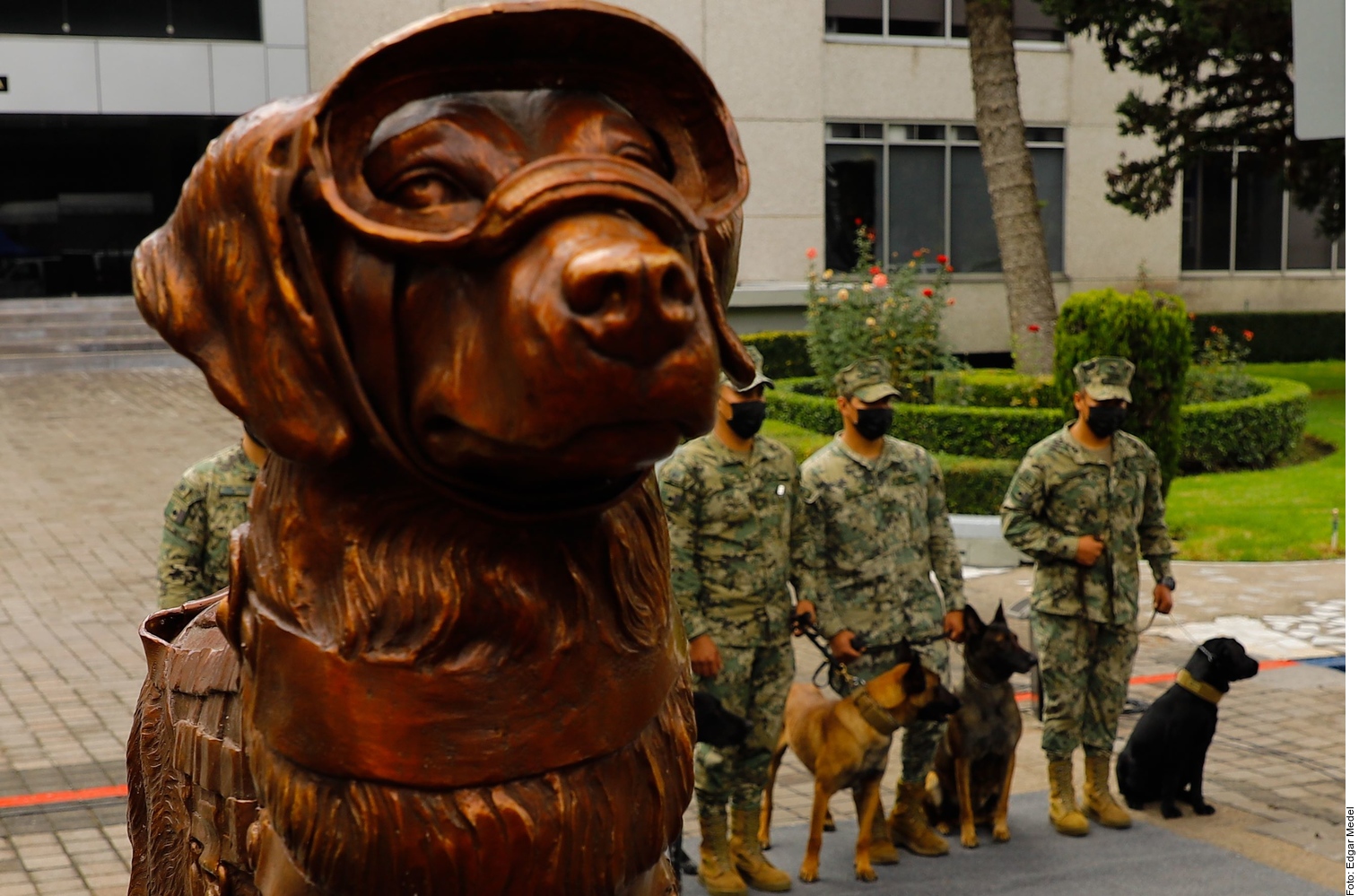 Murió ‘Frida’, la perrita rescatista