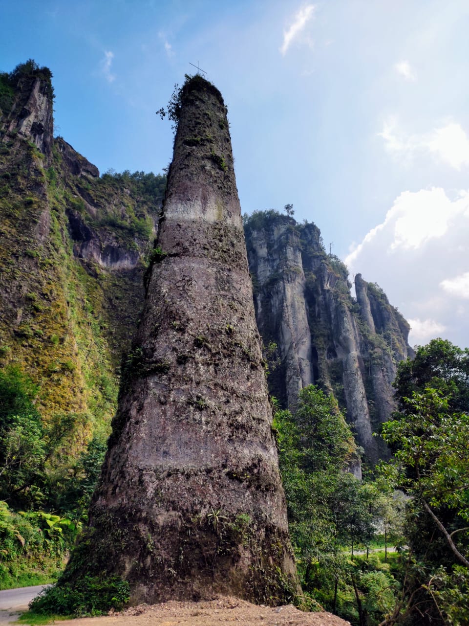 El Cirio, sitio icónico Otomí-Tepehua de Tenango de Doria – Criterio ...