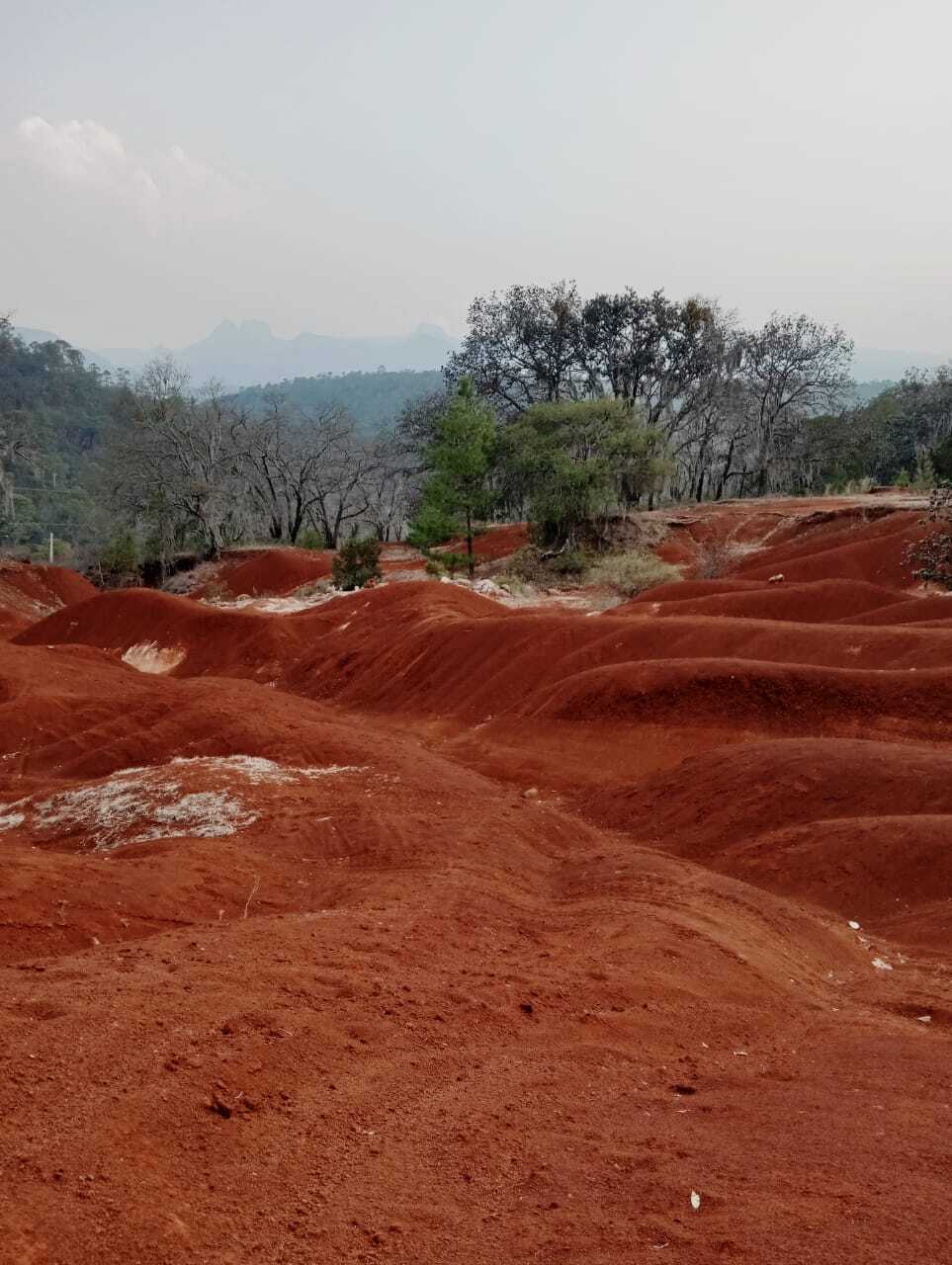 Paisajes increíbles de Hidalgo: Dunas Rojas y el Bosque de Encino