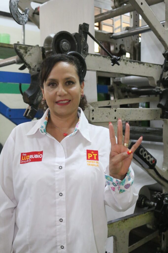 Agua, inseguridad y mujeres, ejes de trabajo: Luz Rubio