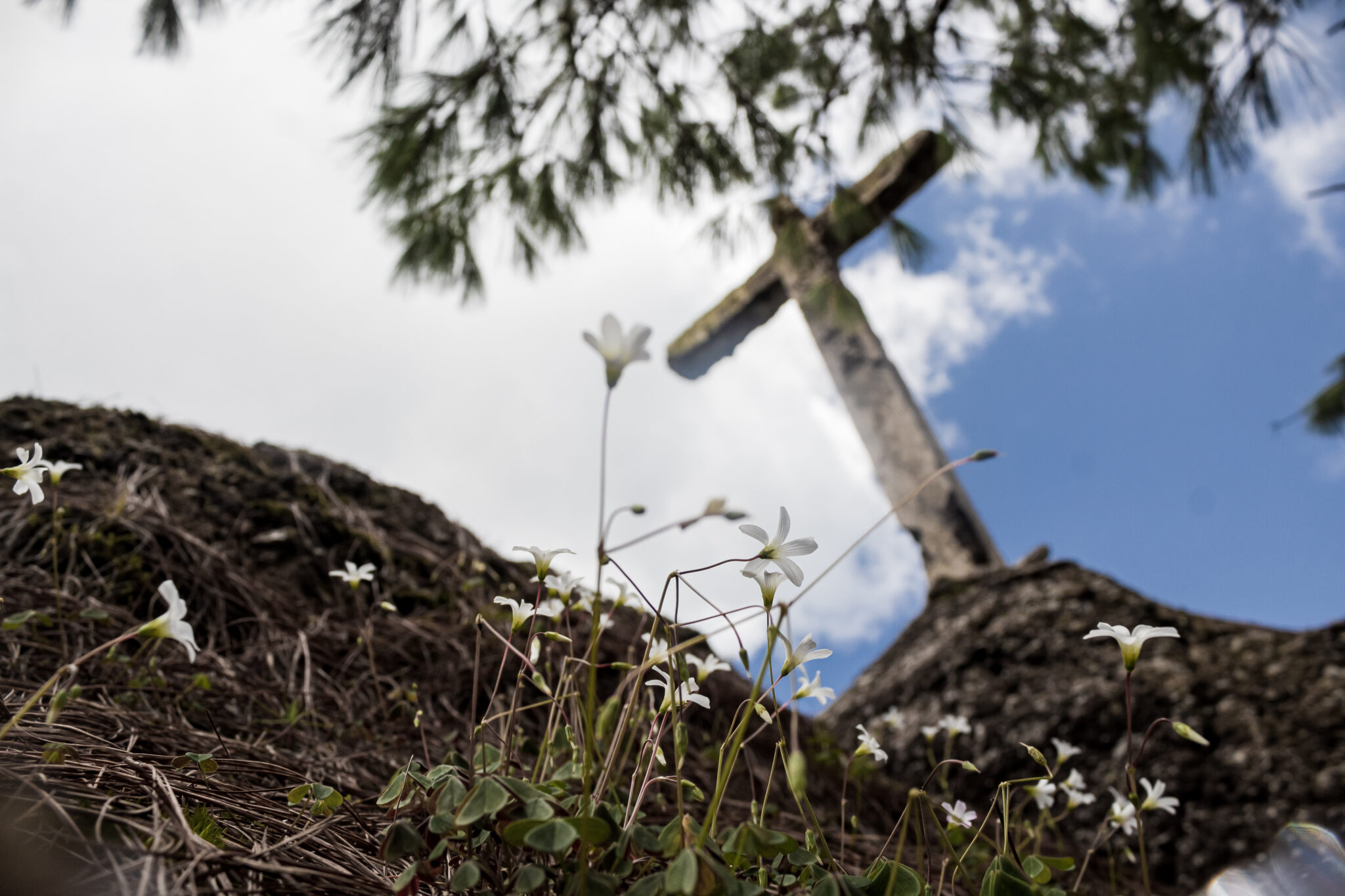 Sumérgete en la naturaleza: Conoce Molango y sus atractivos