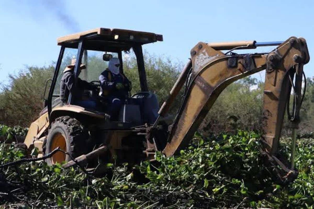 Mosco enferma a los habitantes de zonas aledañas a la presa Endhó, acusan