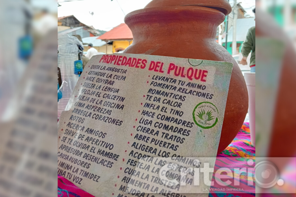 Curados con historia: Hermanos Flores y su homenaje al legado pulquero