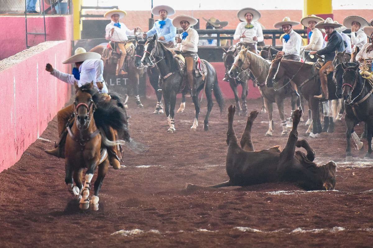 Rancho Las Amazonas y lo mejor de la charrería nacional se disputan el ...